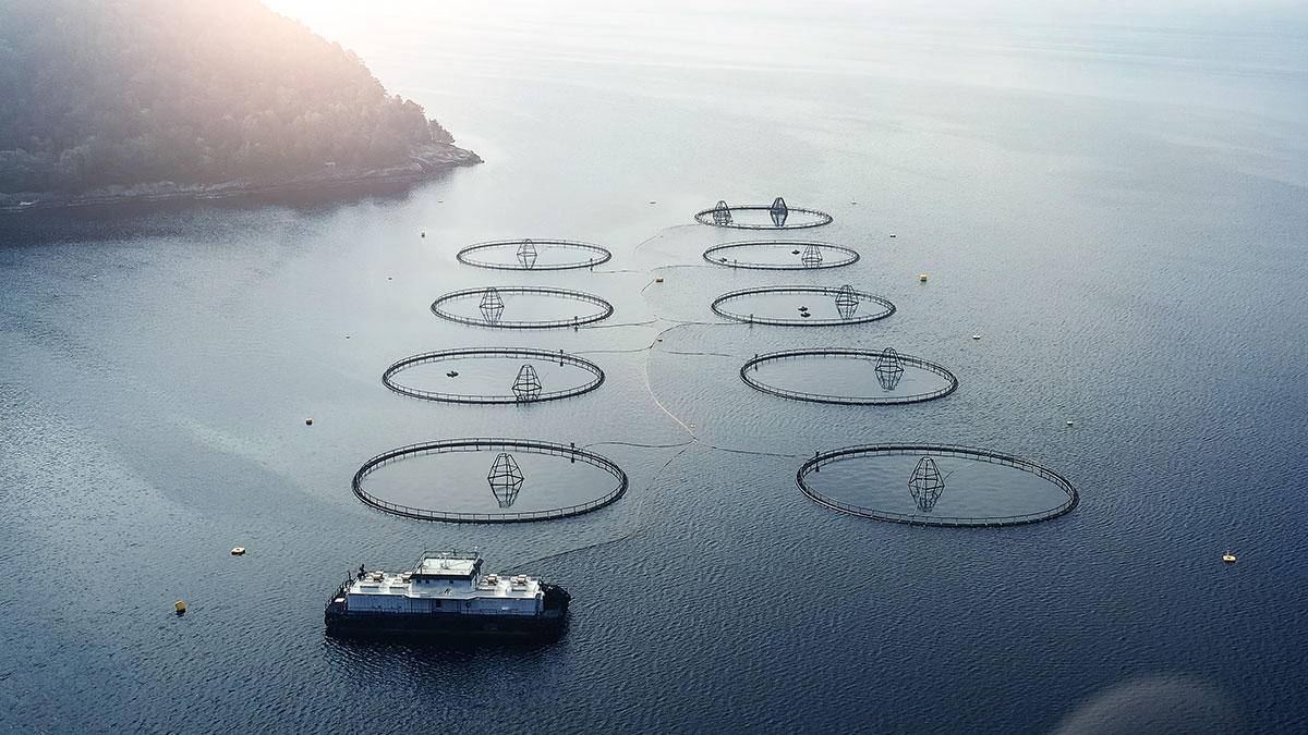 Stavanger Engineering – Safe & cost efficient project execution!